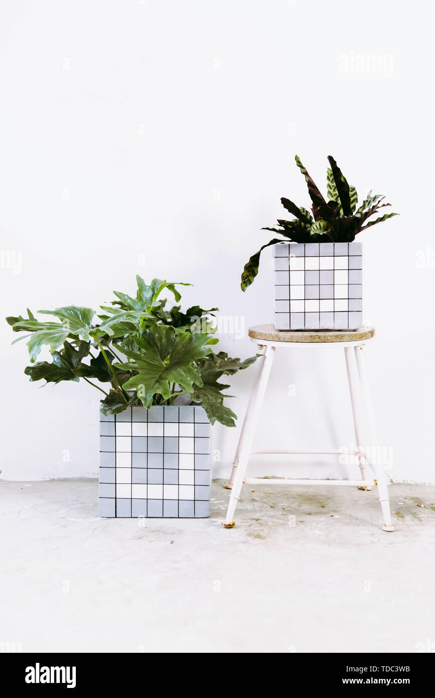 Creative flower pots and greenery Stock Photo - Alamy