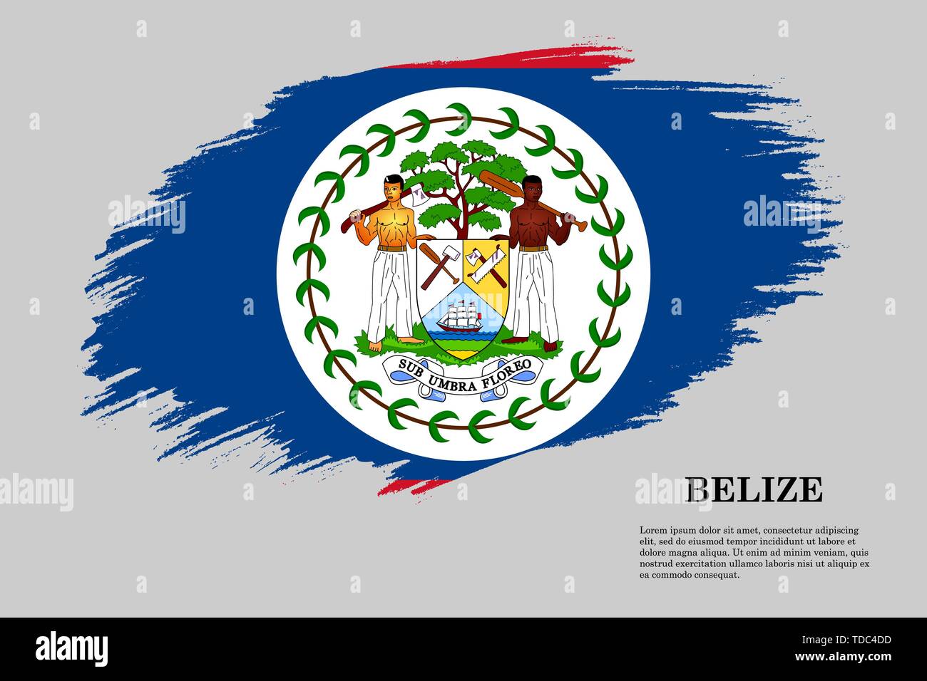 Brush stroke styled flag of Belize . Template for your design Stock ...