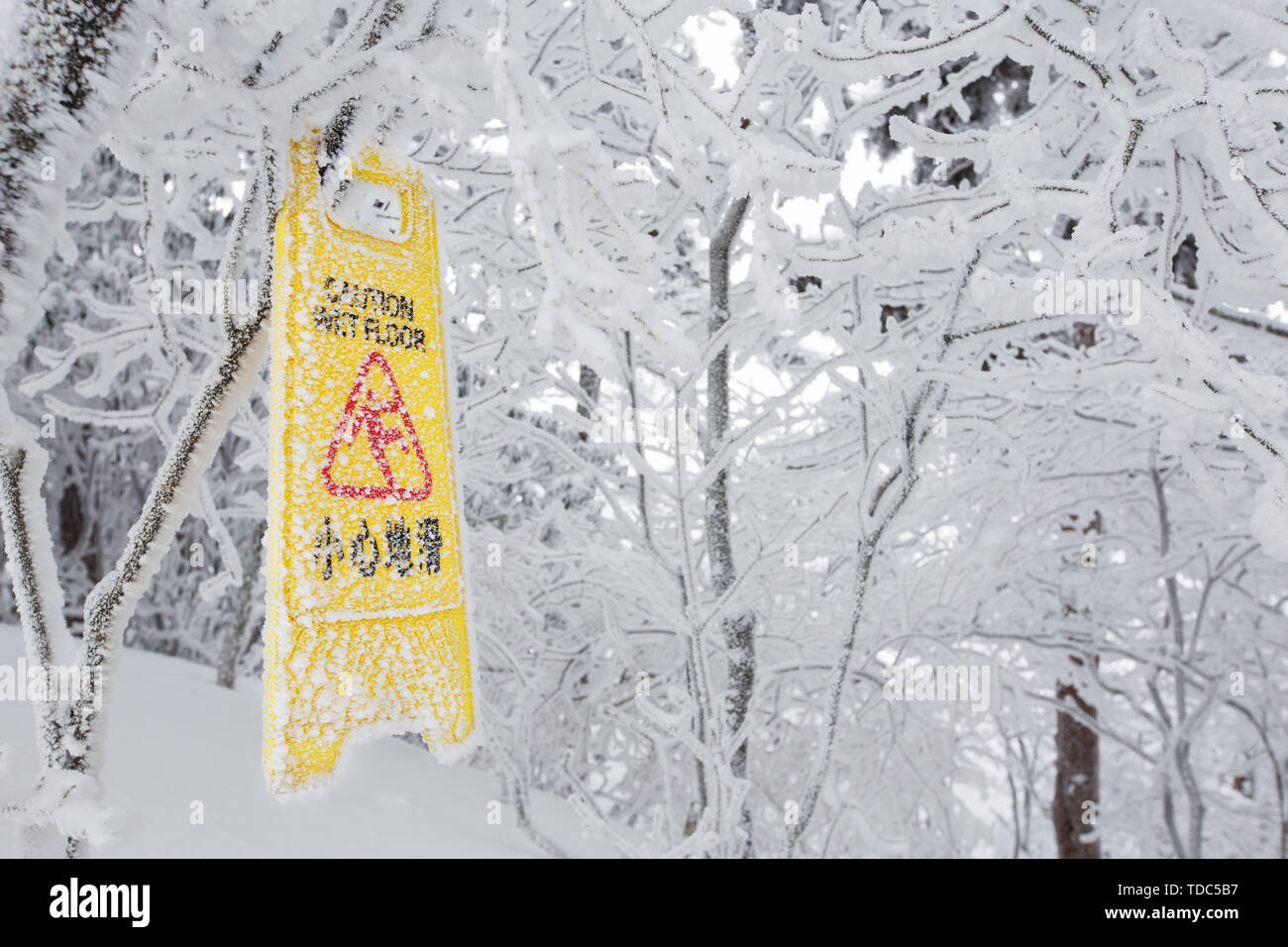 warning caution sign board on snowy trees on hill Stock Photo - Alamy