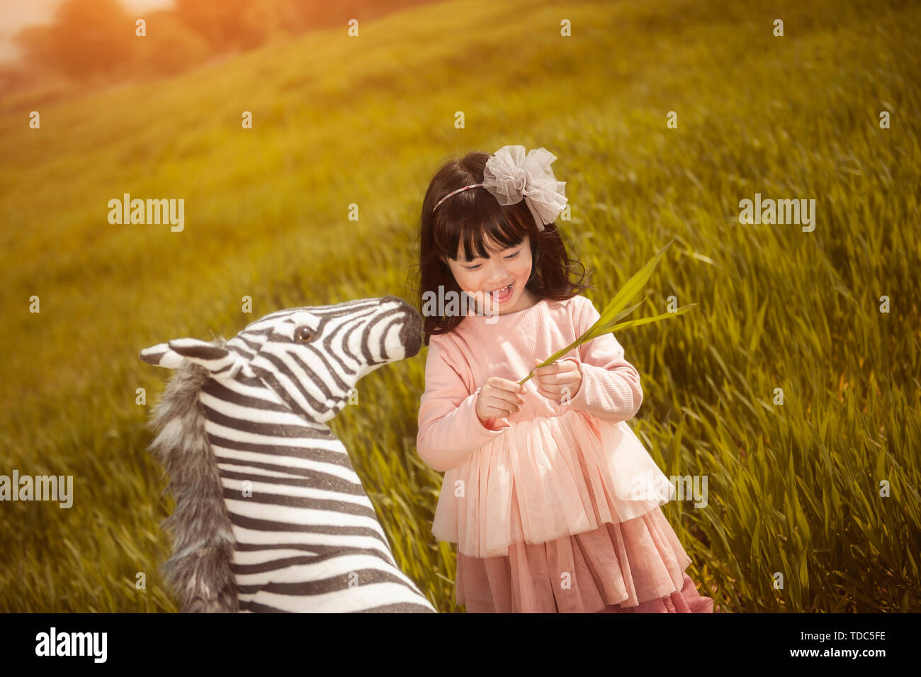 Photography of children Stock Photo - Alamy