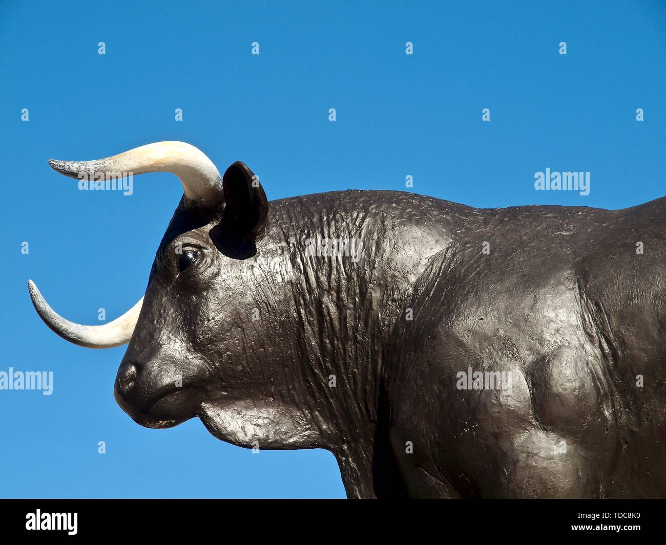 Spanish bull fight horns hi-res stock photography and images - Alamy