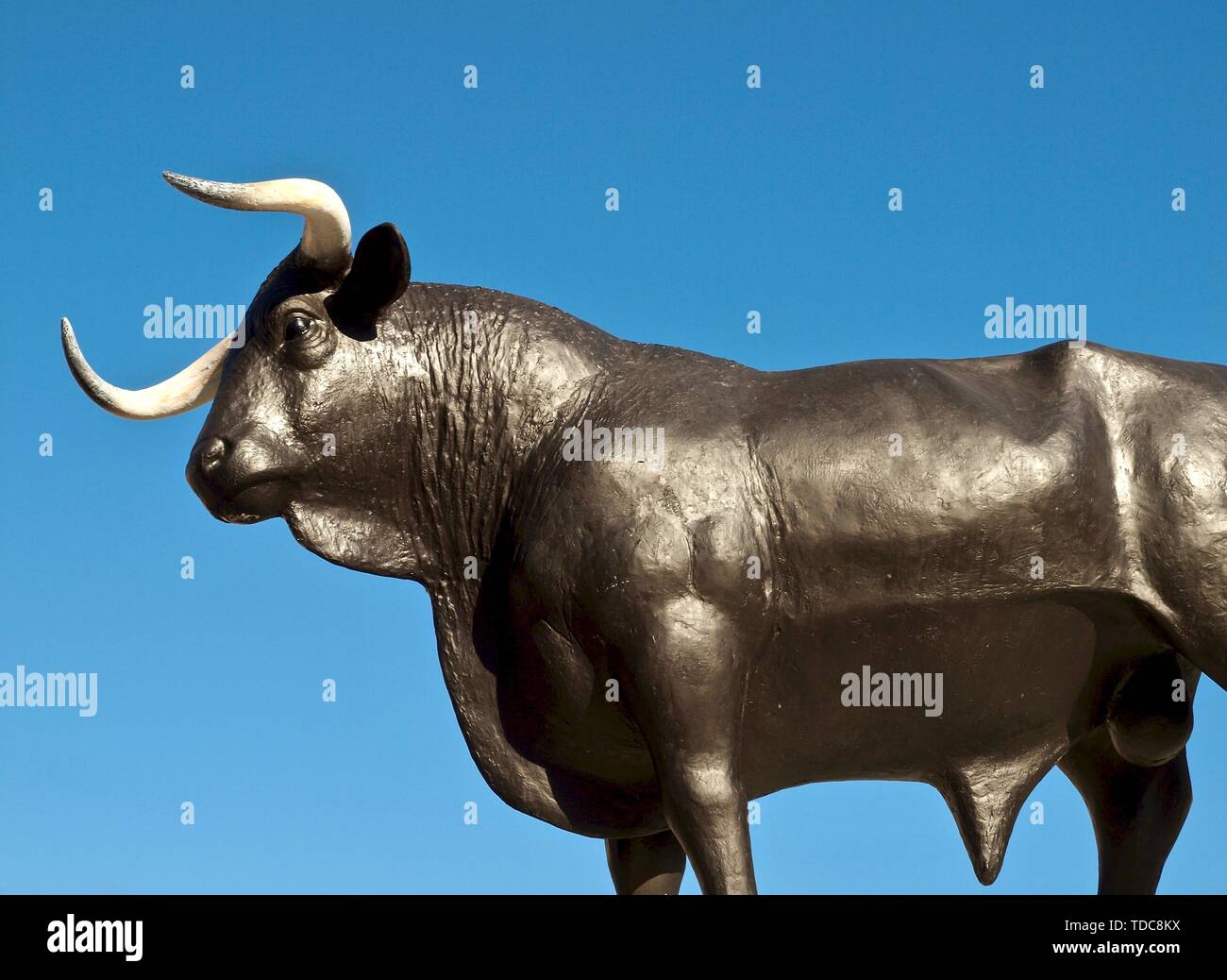 Spanish bull fight horns hi-res stock photography and images - Alamy