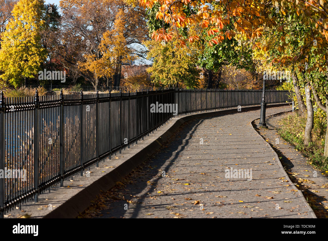 Fall in Central Park, New York Stock Photo - Alamy