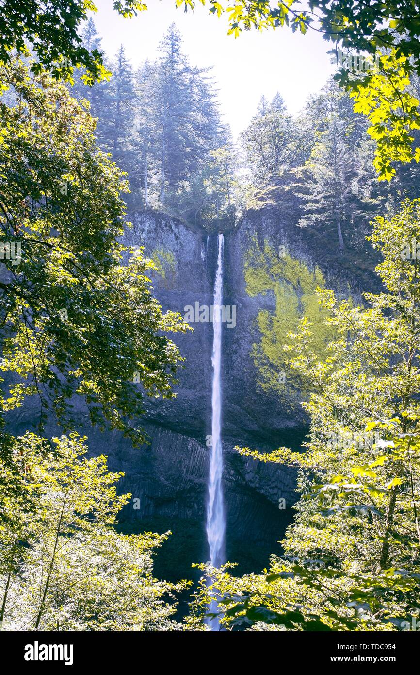 Waterfall Trees Leaves Orange Autumn Leaves On Trees In Forest And