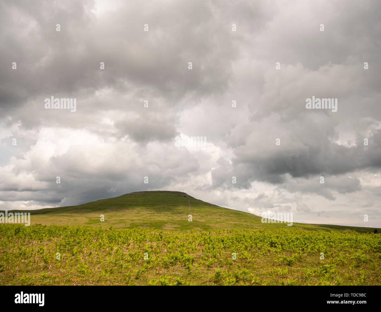 A view of sugar loaf or Pen Y Fal a mountain in the brecon beacons ...