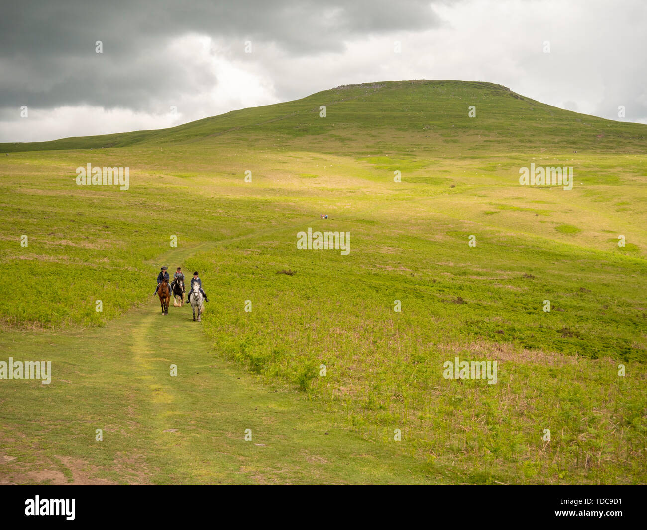 Horse riding on sugar loaf hi-res stock photography and images - Alamy