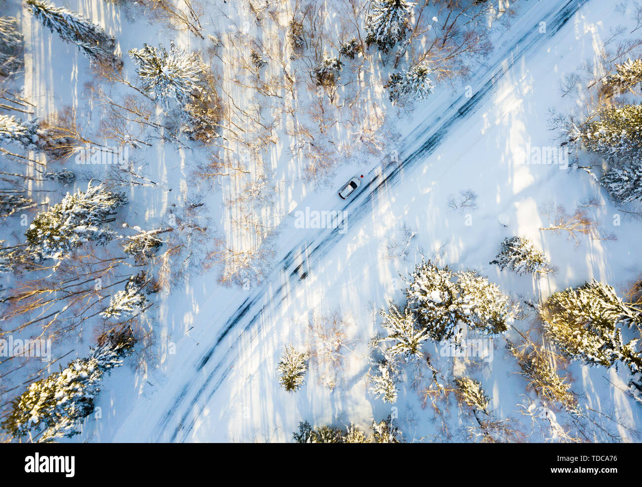 Big Snow Mountain Forest Lane Stock Photo - Alamy