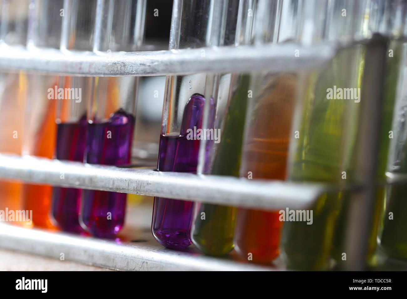 Veterinary medicine bottle hi-res stock photography and images - Alamy