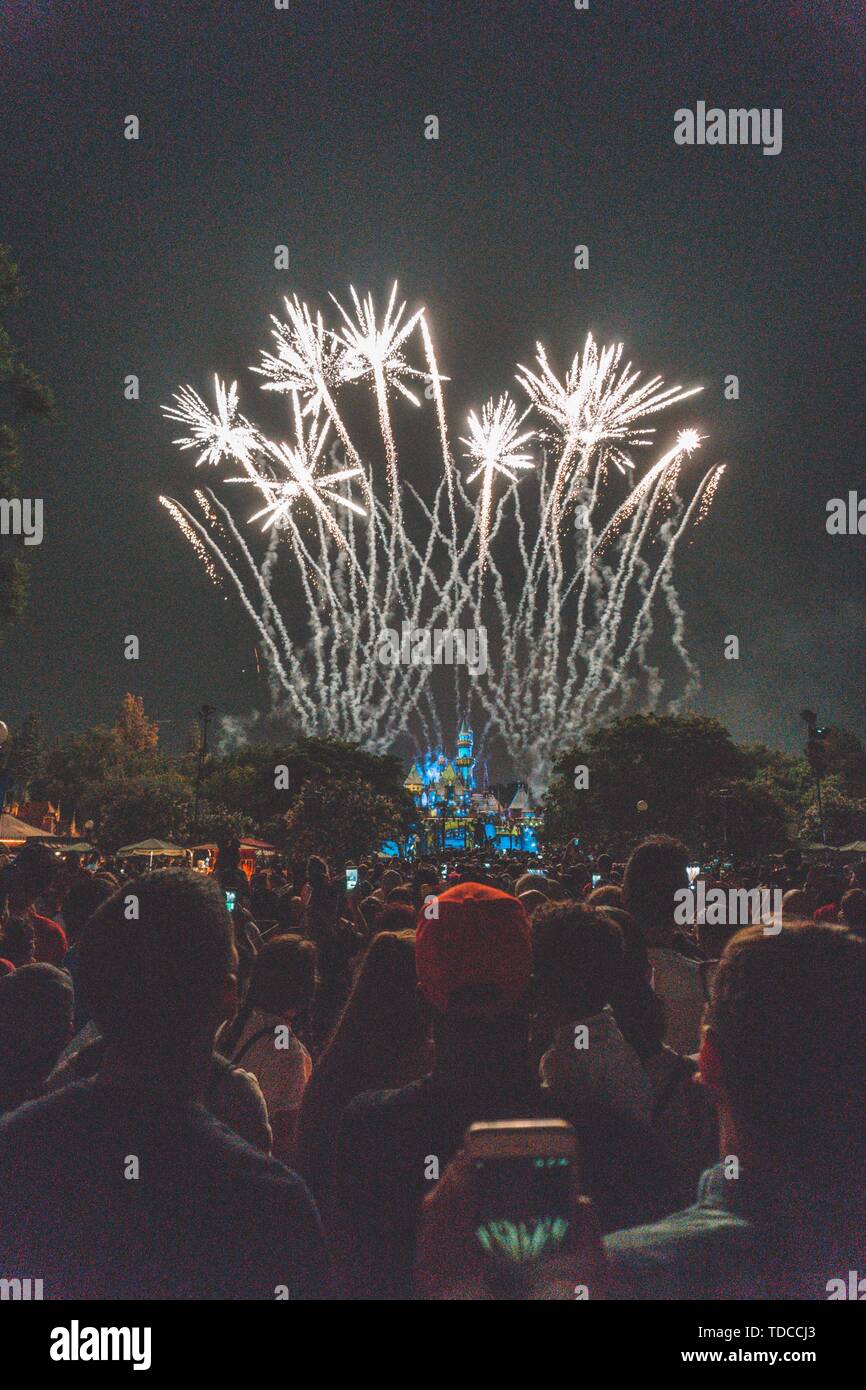 Crowd watching amazing fireworks in a park at night Stock Photo - Alamy