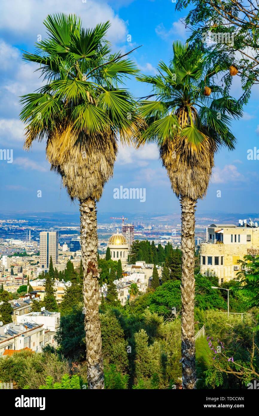 View of downtown, Hadar neighborhood, the Bahai shrine and the bay area ...