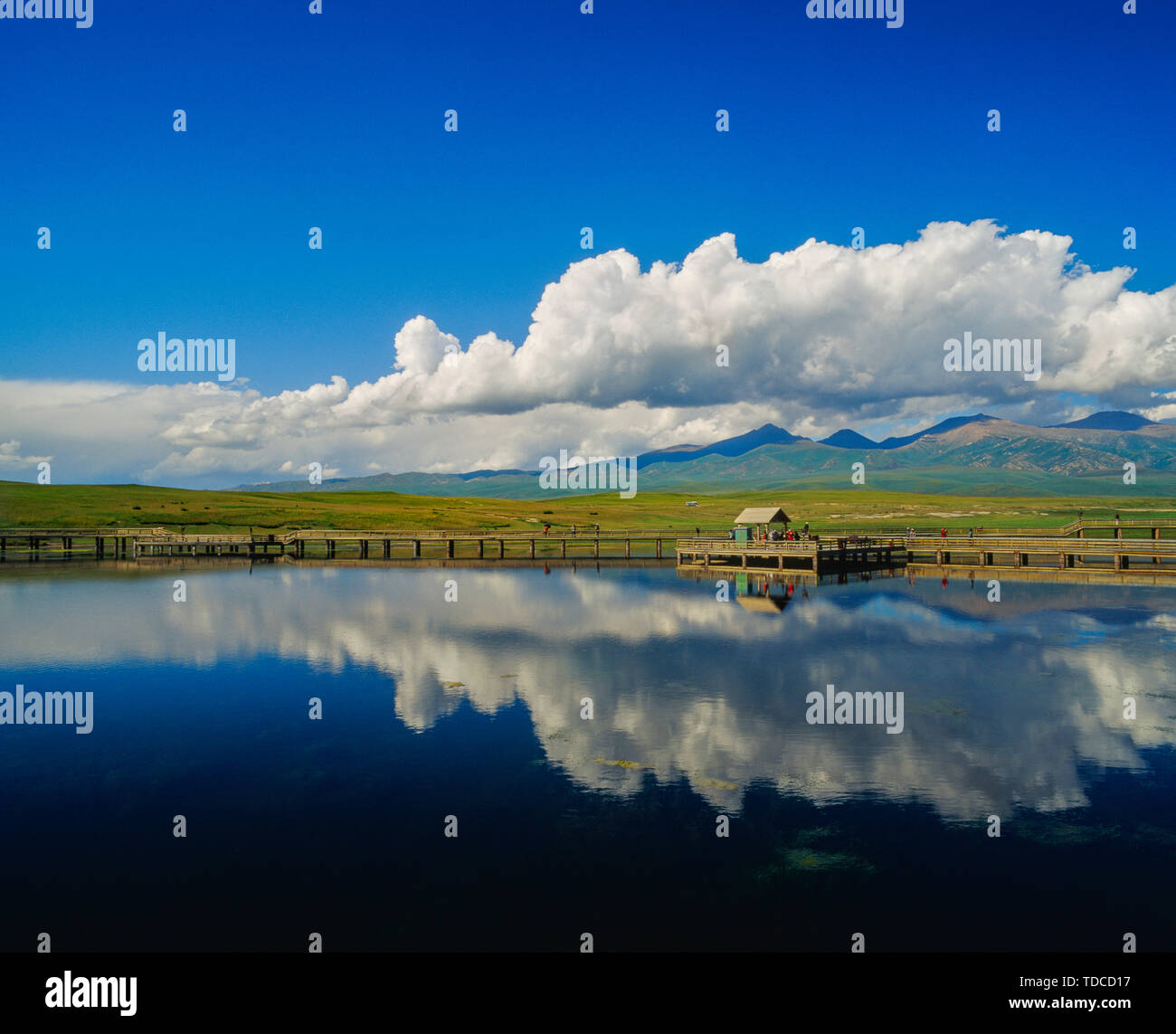 Photographing Bayinbrook Swan Lake in Xinjiang in August 2016 Stock ...