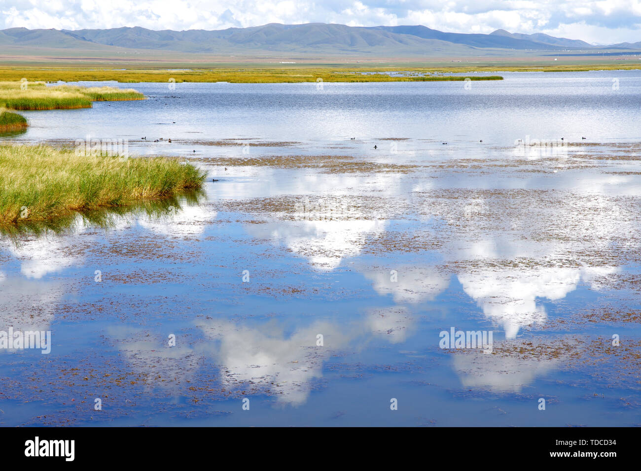 Hua aba prefecture hi-res stock photography and images - Alamy