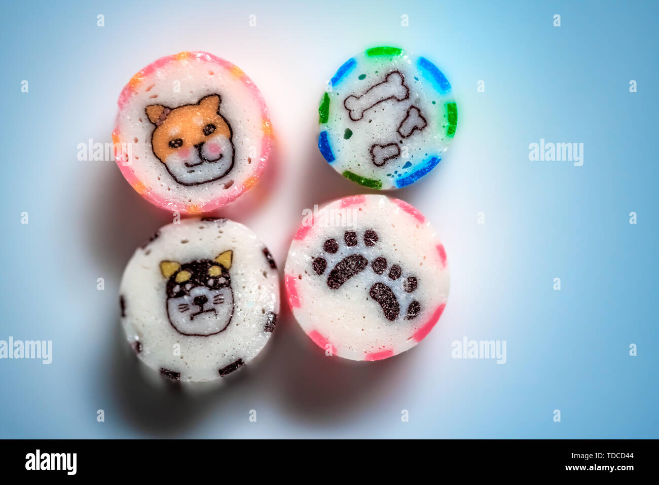 Chocolate labs hi-res stock photography and images - Alamy