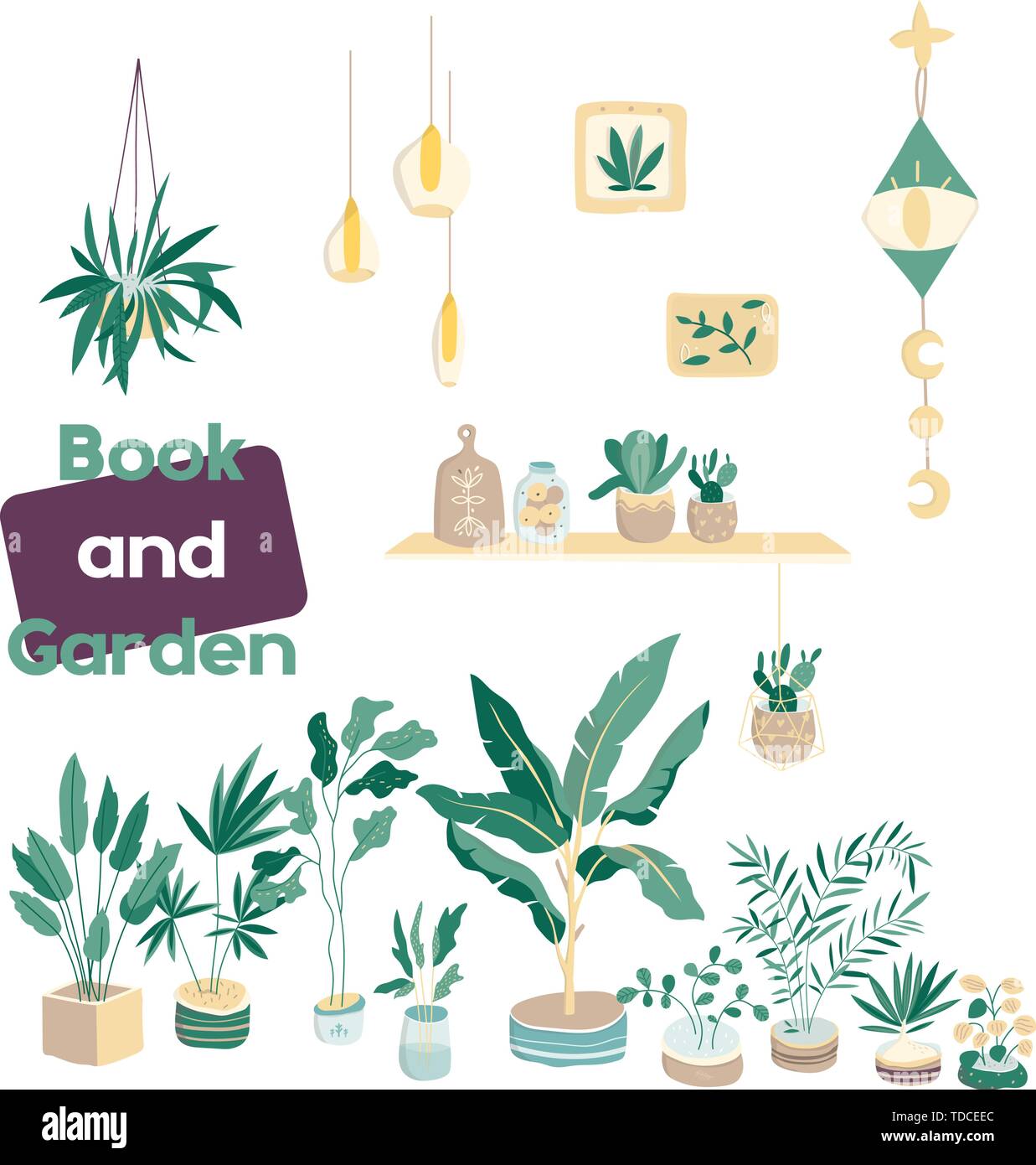 House plants. Flowerpot isolated objects, houseplant flower pot ...