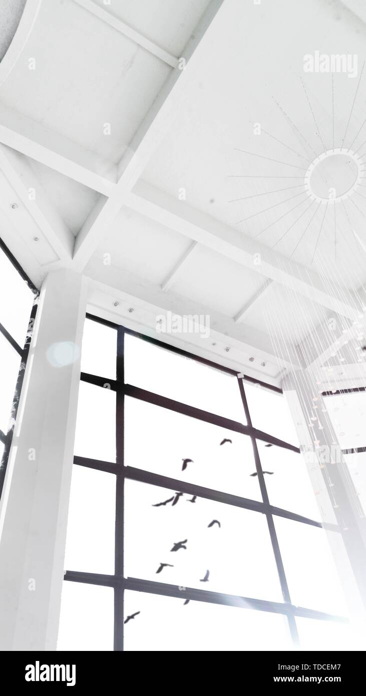 Beautiful view from a large window of a white tall room of birds flying ...