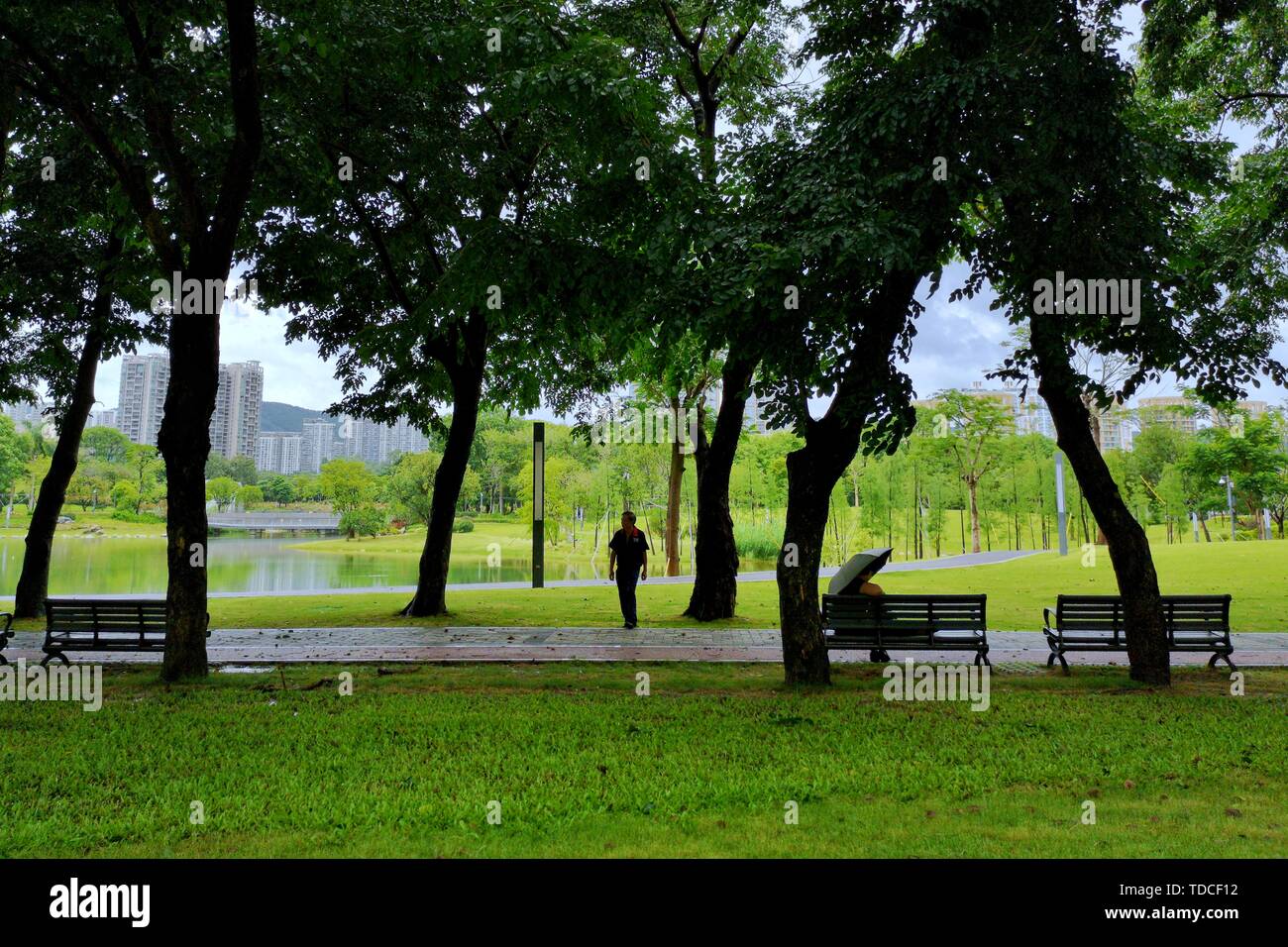 Scenery of nectar park in Futian District, Shenzhen Stock Photo - Alamy