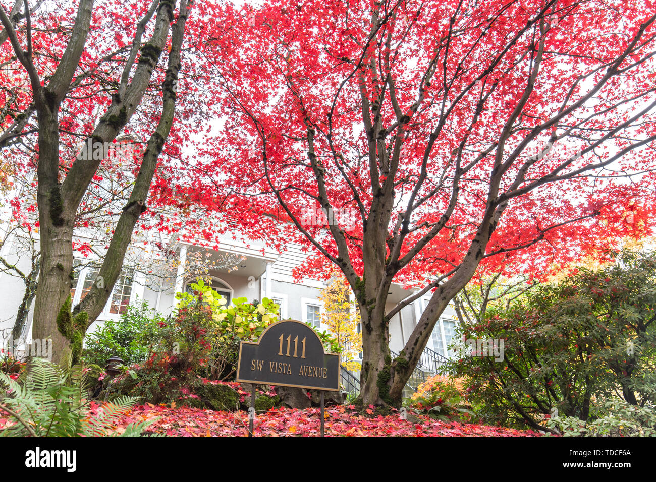 Red avenue hi-res stock photography and images - Alamy