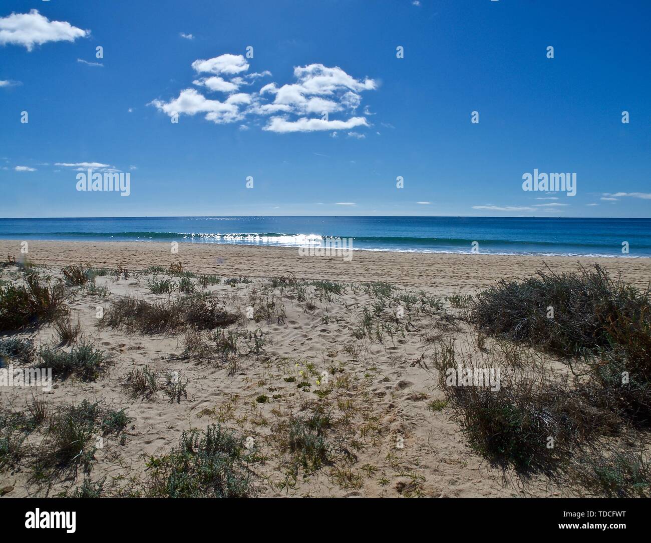 Typical beach with sand dunes, plants and blue ocean Stock Photo - Alamy