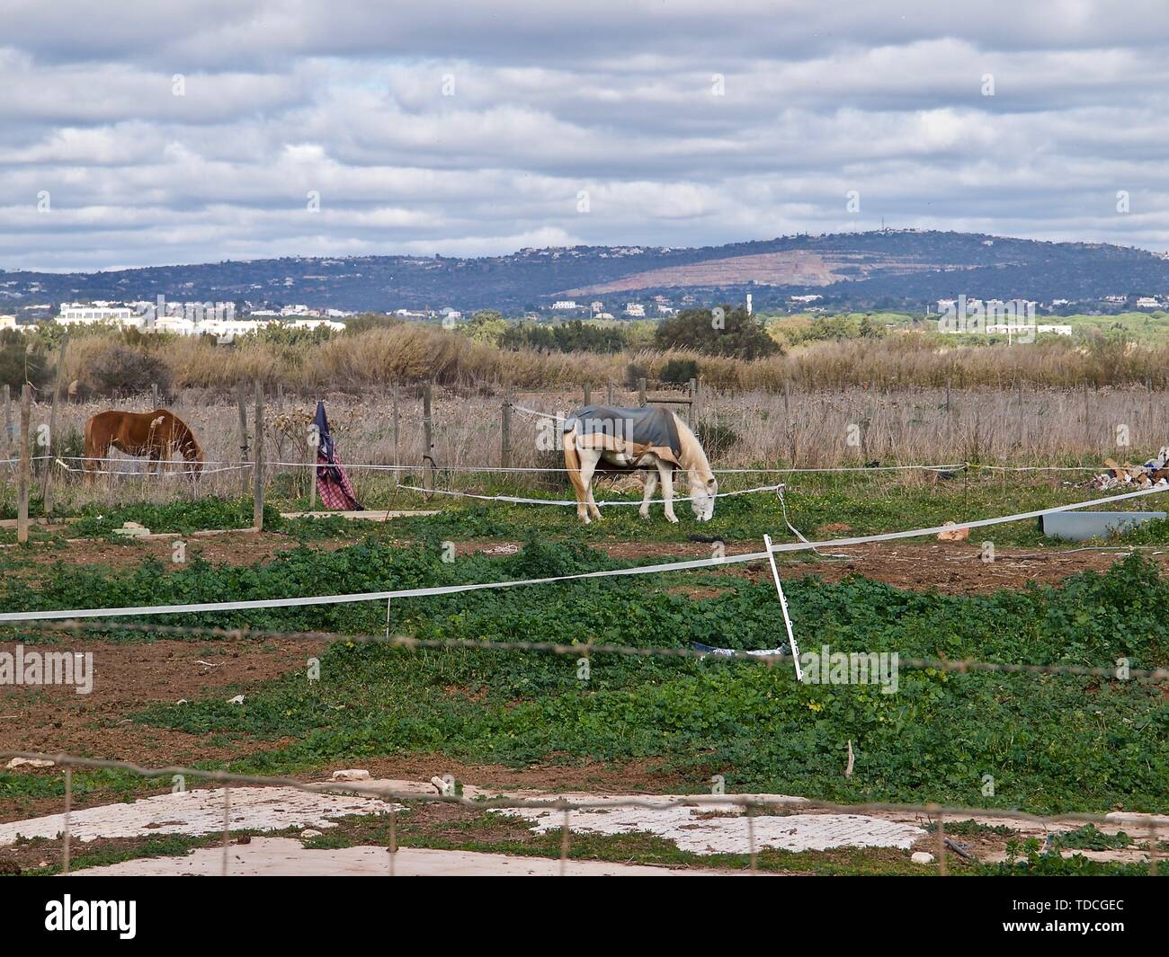 Agriculture in portugal hi-res stock photography and images - Alamy