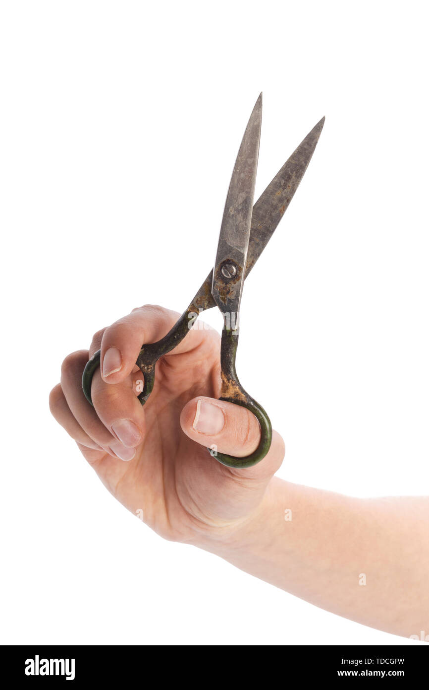 Female hand holding scissors, isolated on white background Stock Photo ...
