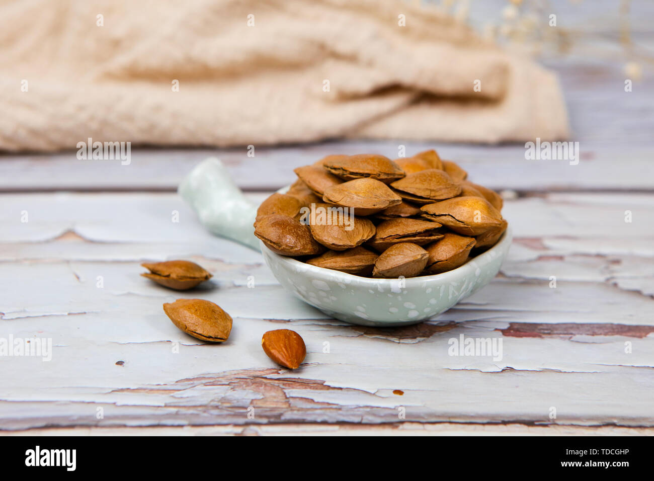 Open little Ginkgo biloba Stock Photo - Alamy