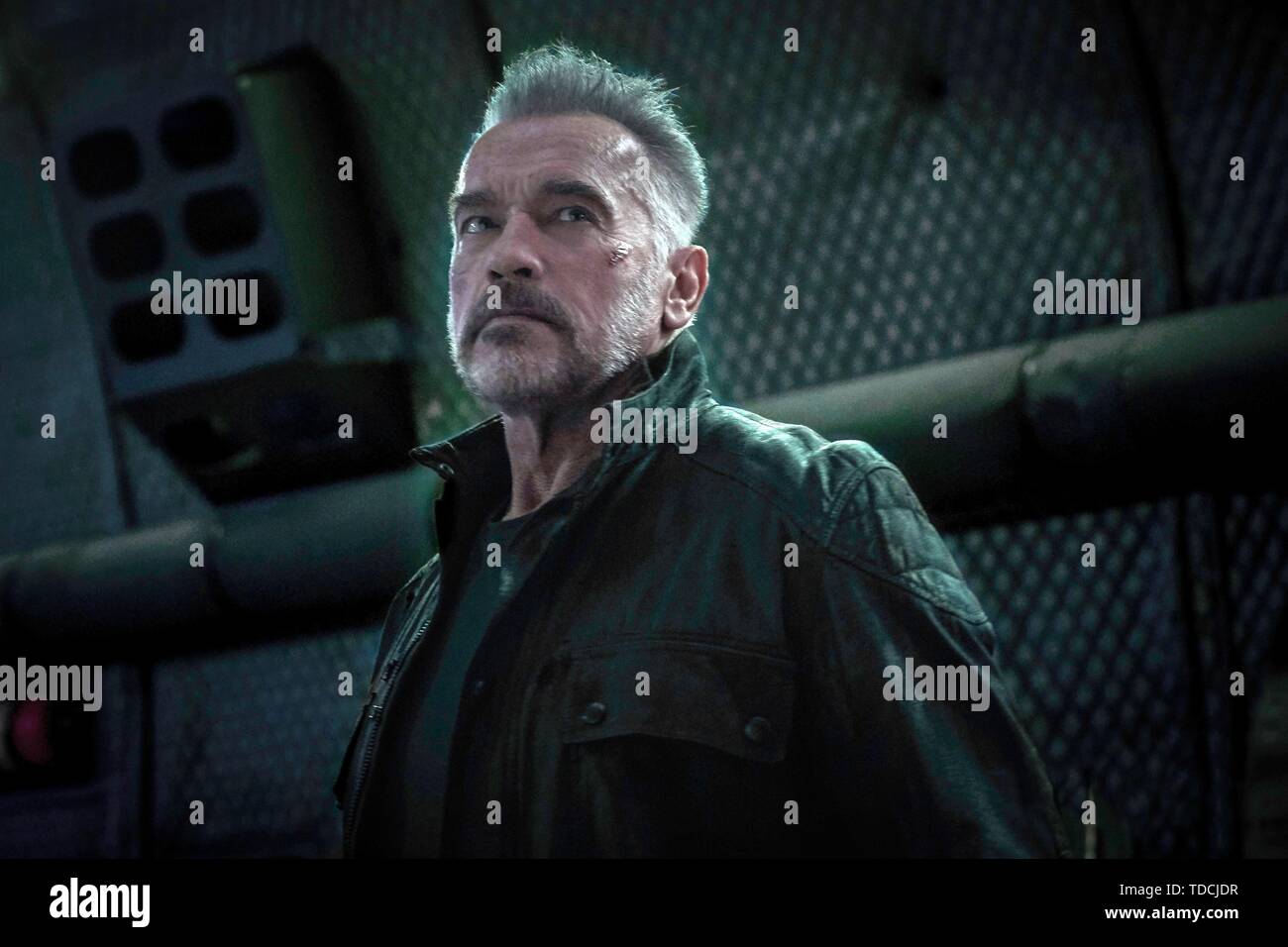 Terminator Arnold Schwarzenegger