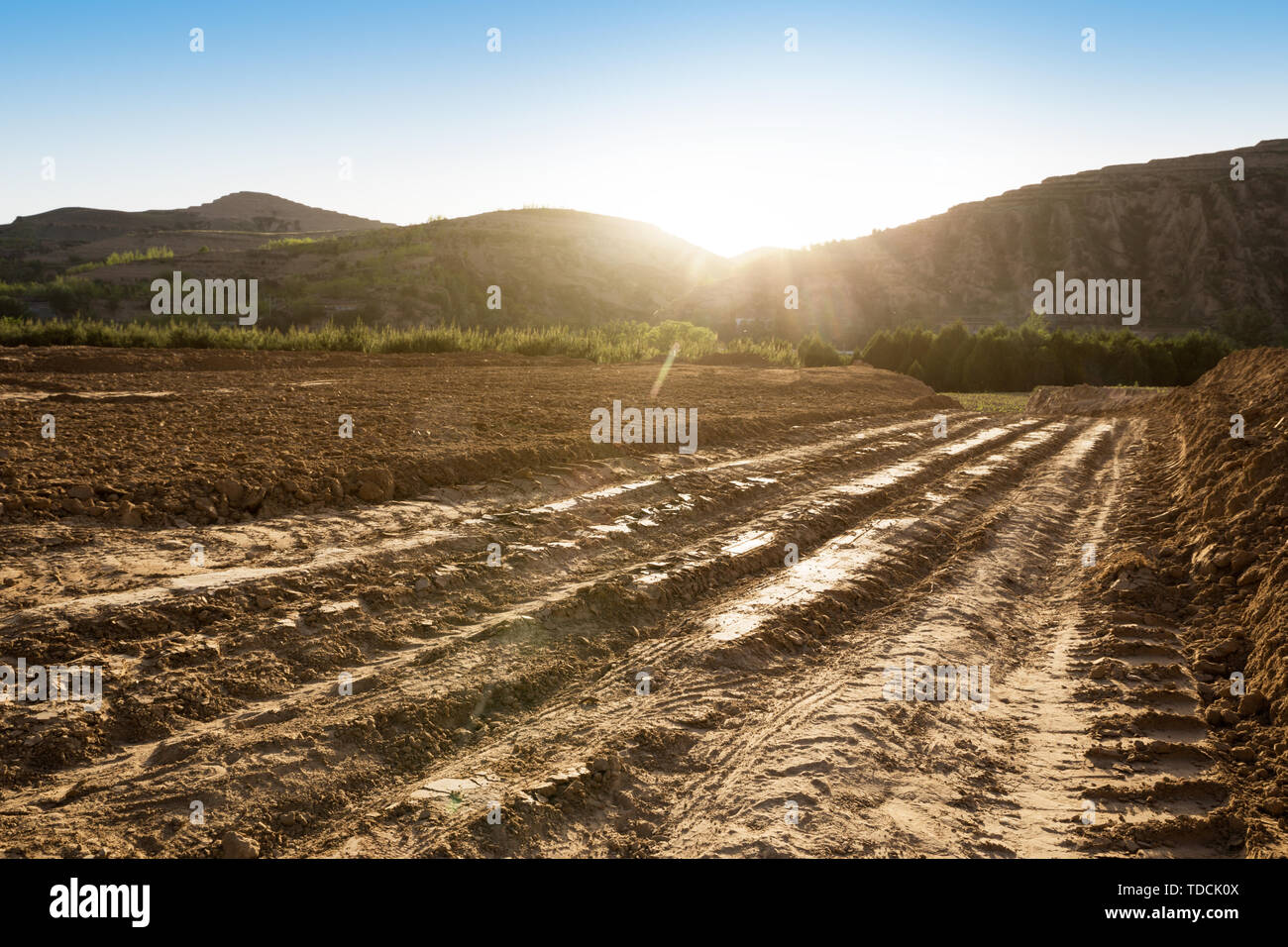 Background illustration of off-road car advertising Stock Photo - Alamy