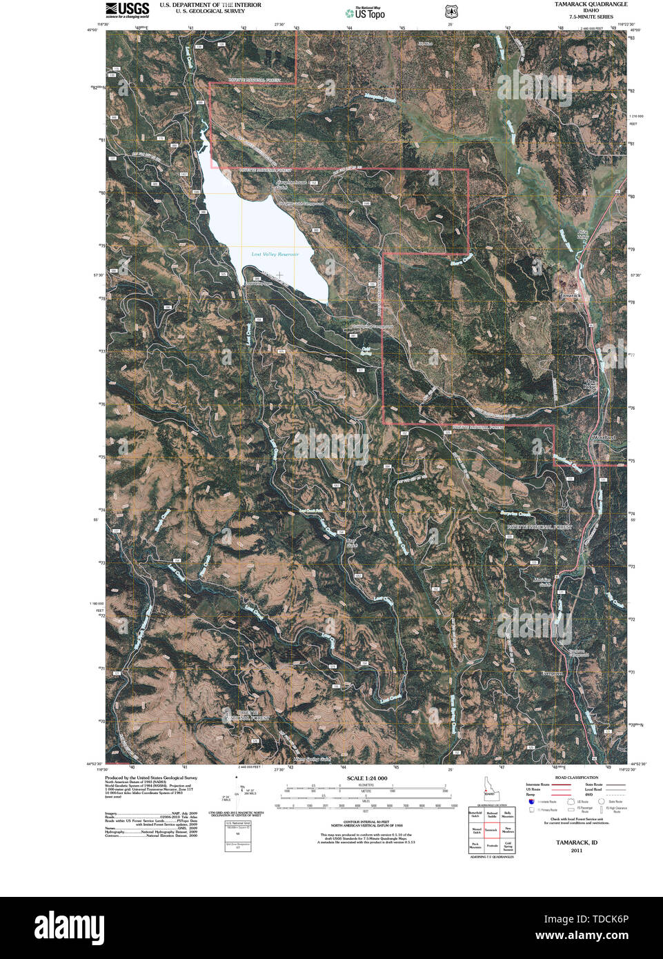 Tamarack Cut Out Stock Images & Pictures - Alamy