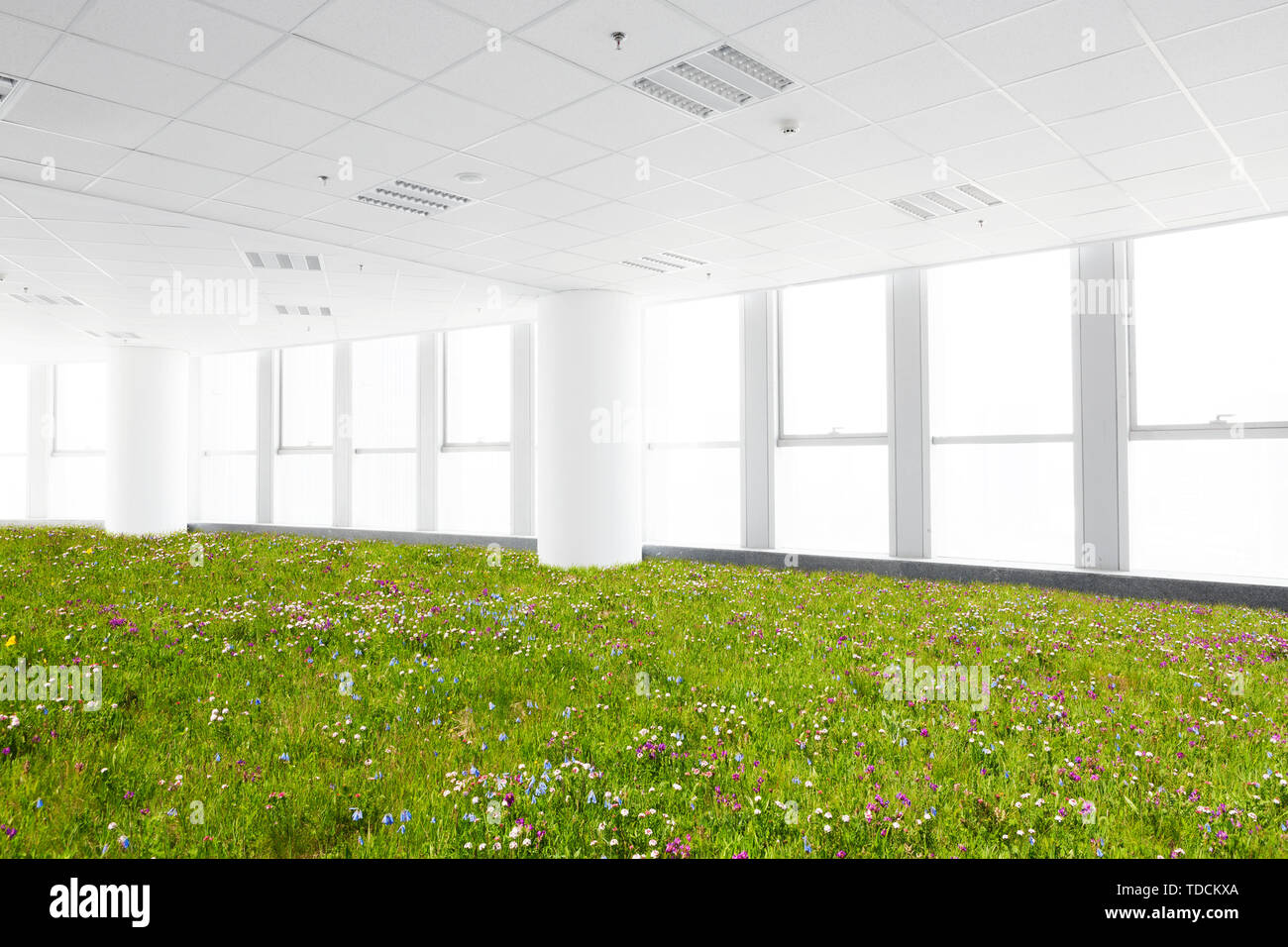 Office landscaping inside hi-res stock photography and images - Alamy