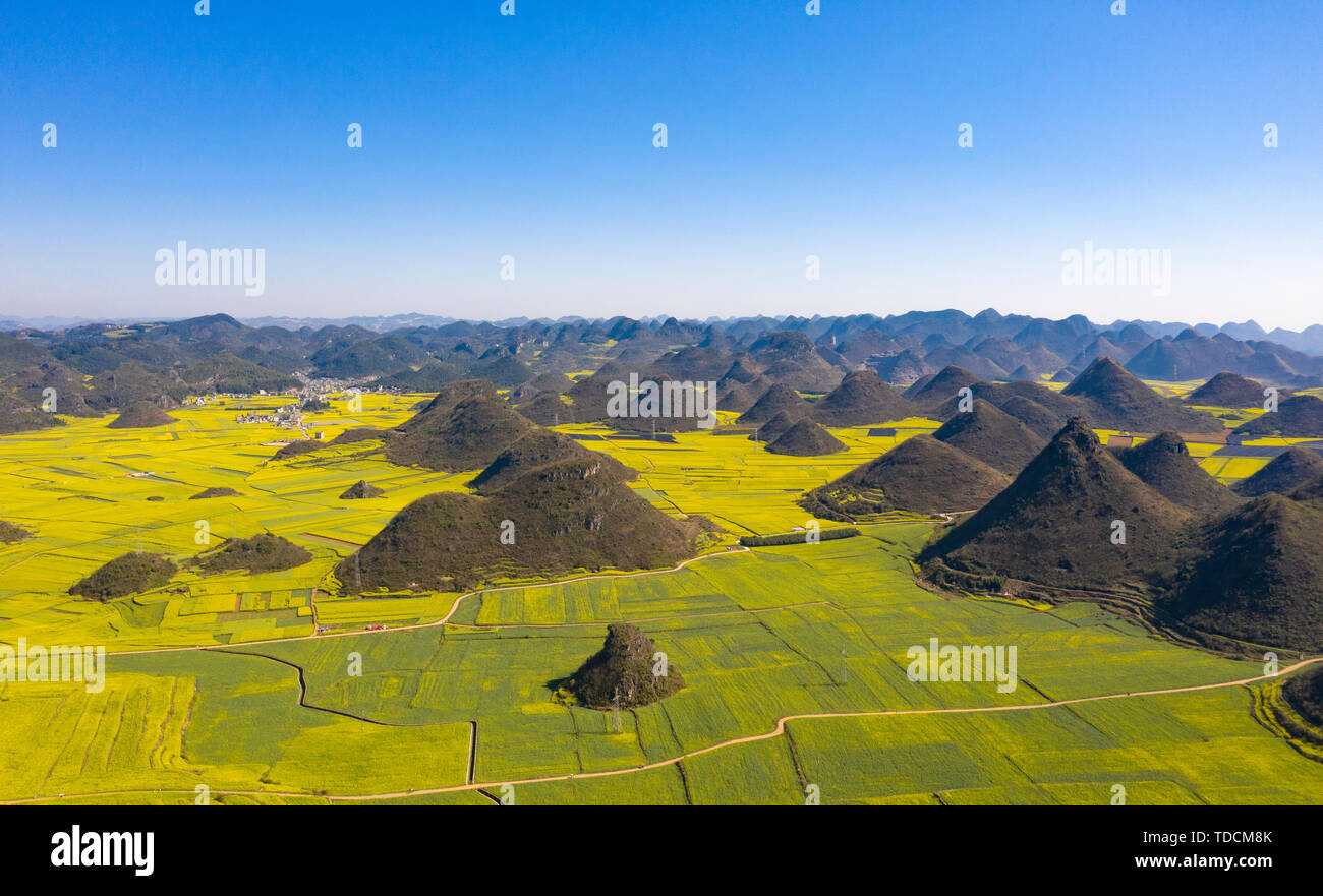 Village flowers and luoping rapeseed hi-res stock photography and ...