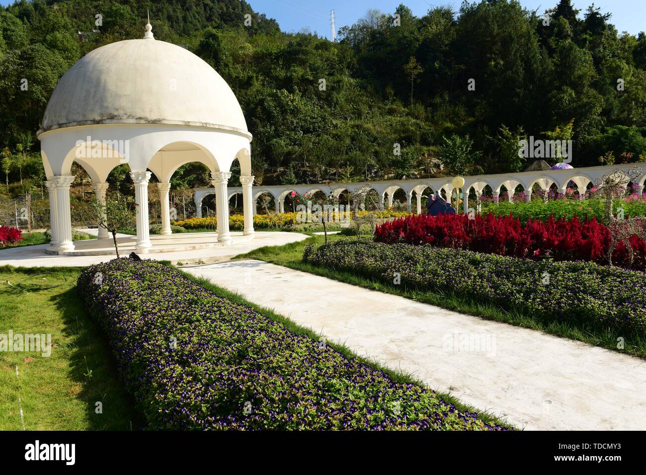 Flower Sea Promenade Stock Photo - Alamy