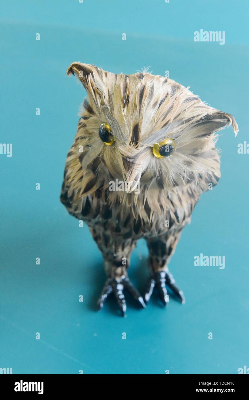 Owl model hi-res stock photography and images - Alamy