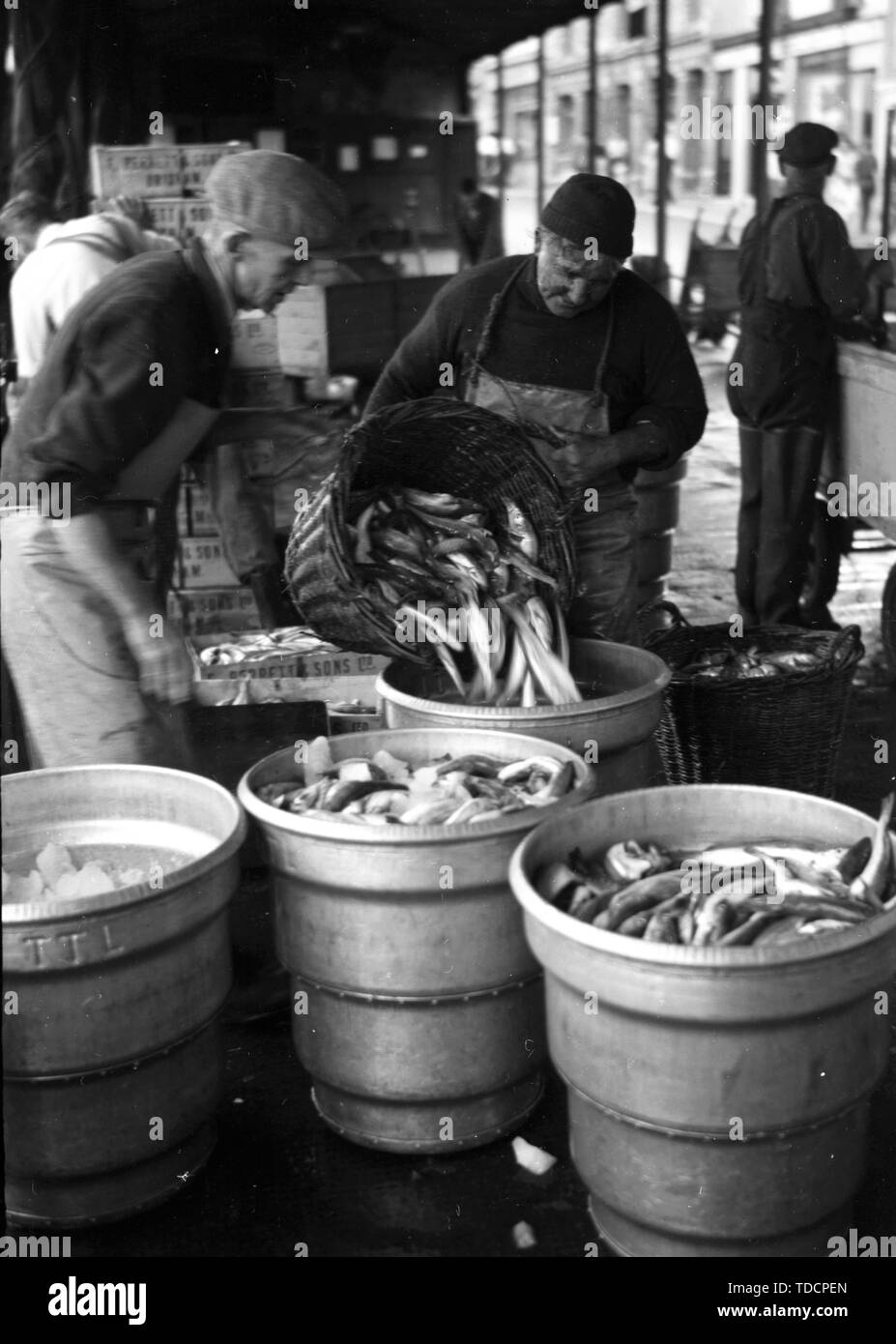 Men At Brixham Fishing Port Putting Fish In Barrels Or Tubs c1930 Photo ...