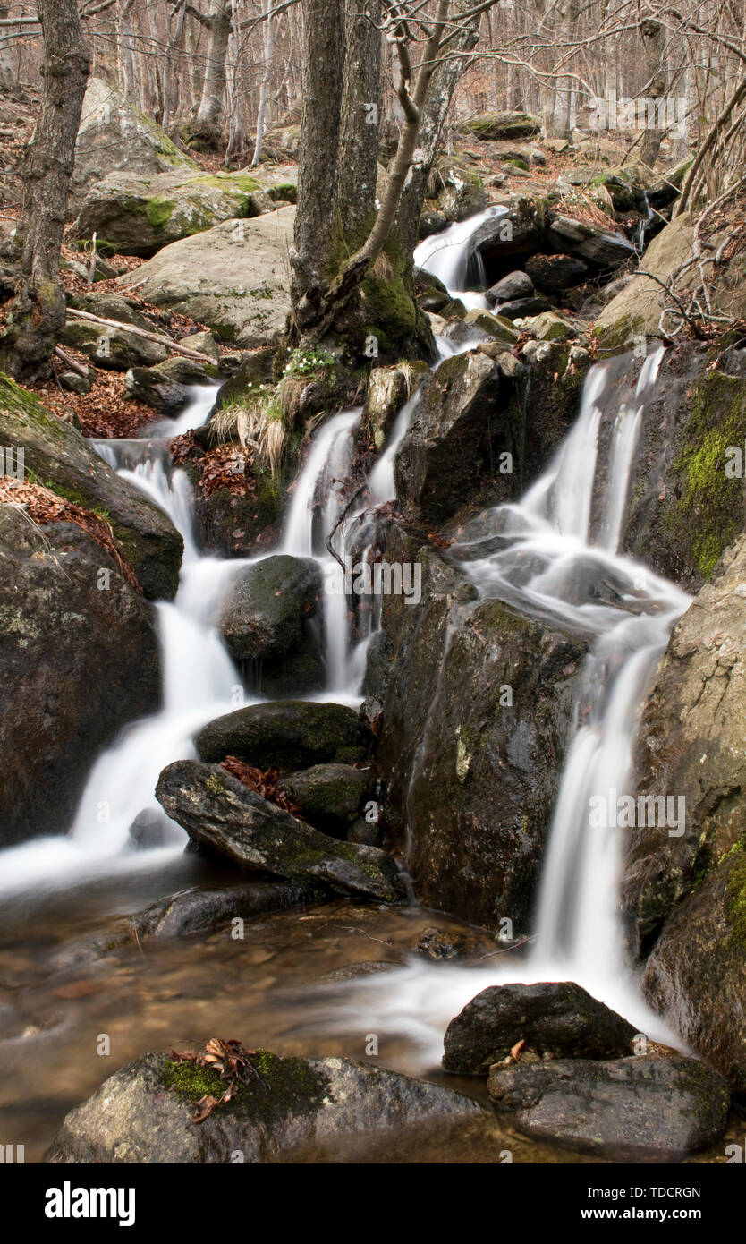 The water descends into the stream, forming small enchanted ponds Stock ...