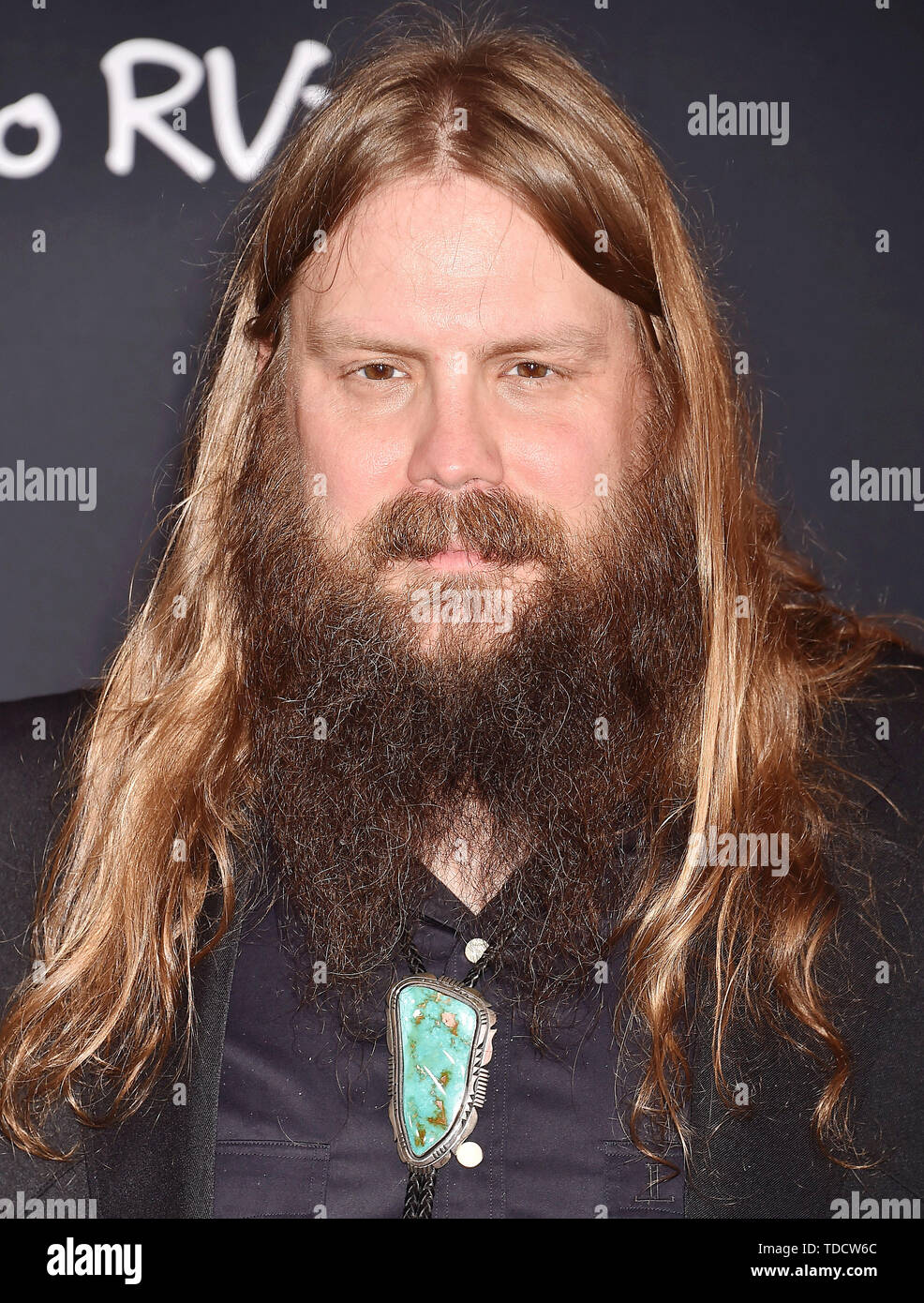 HOLLYWOOD, CA - JUNE 11: Chris Stapleton arrives at the premiere of ...