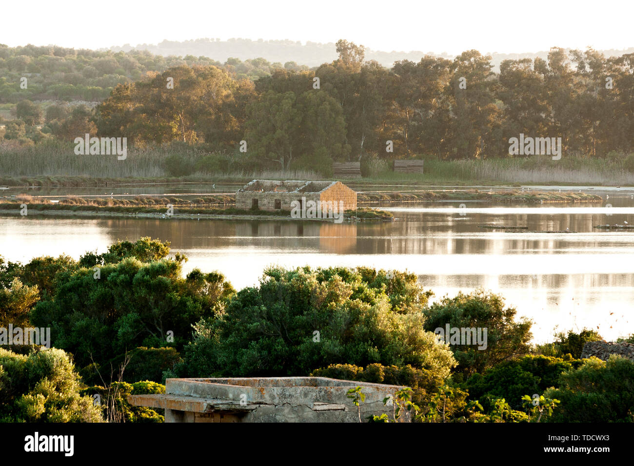 Sceneries of The Great Swamp of Vendicari Nature Reserve in Sicily ...