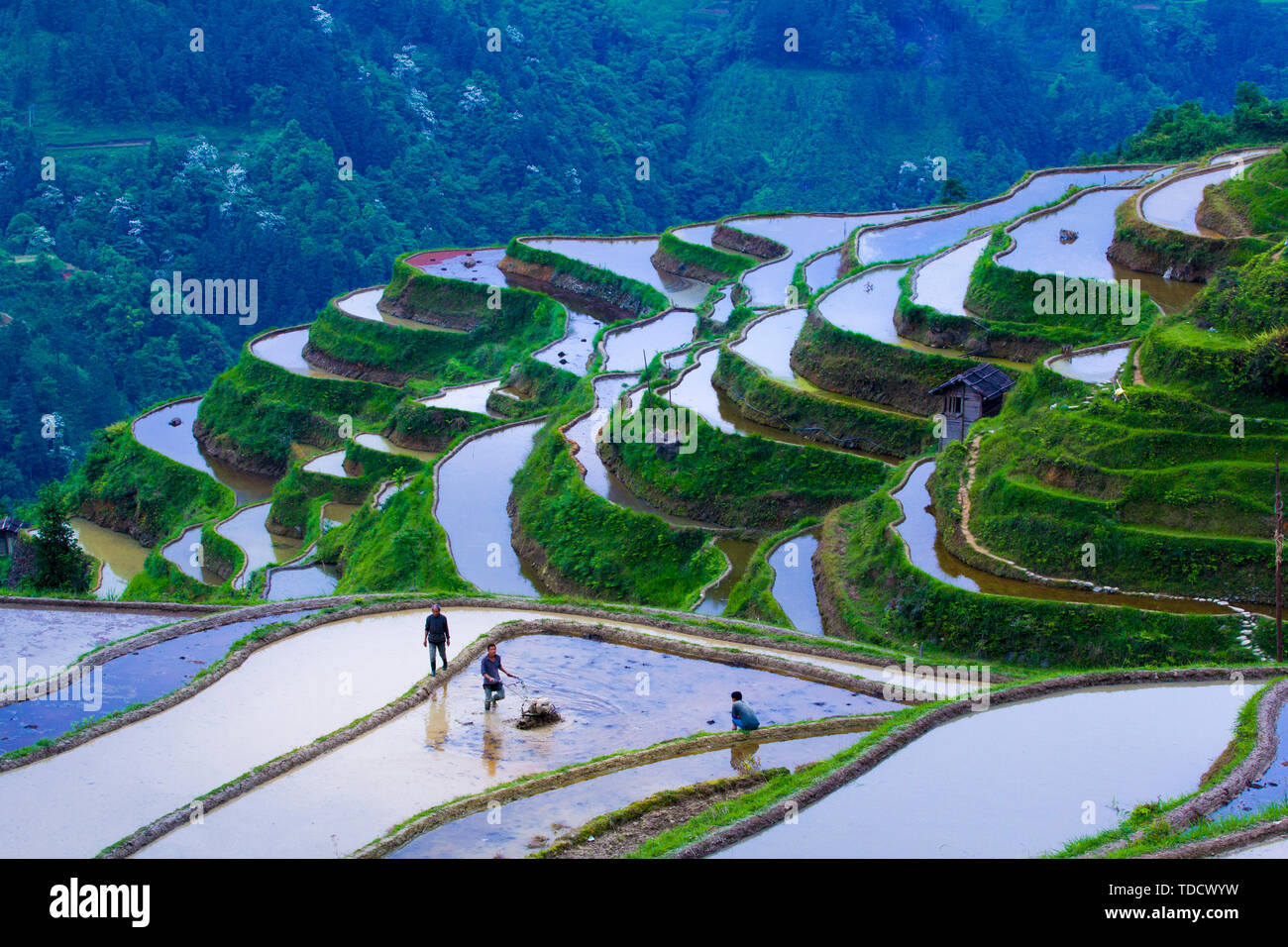 Terrace spring ploughing Stock Photo - Alamy