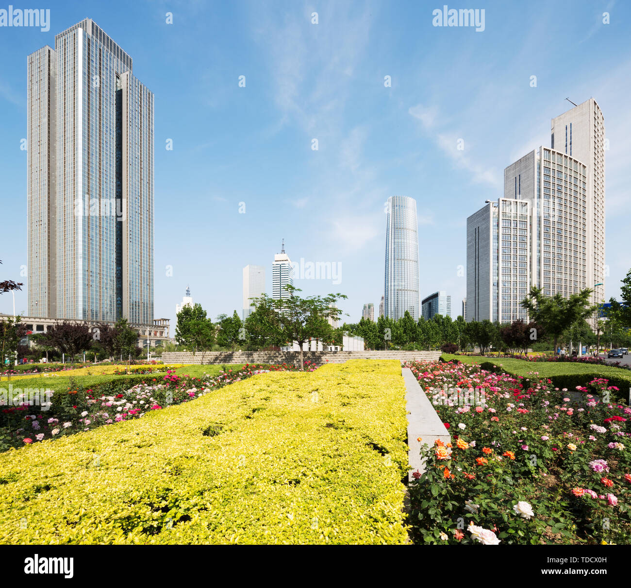 Empty park and modern office building Stock Photo - Alamy