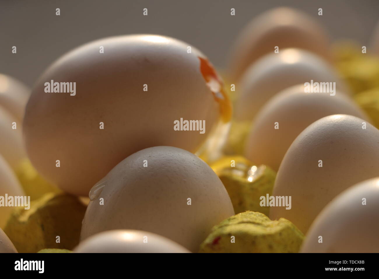 Pure earth eggs hi-res stock photography and images - Alamy