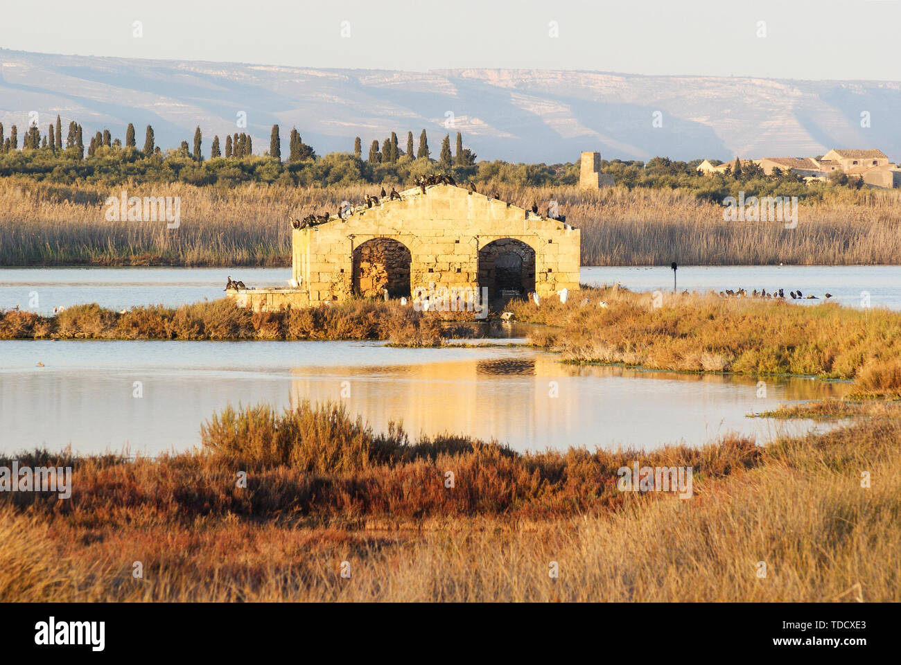 Sceneries of The Great Swamp of Vendicari Nature Reserve in Sicily ...