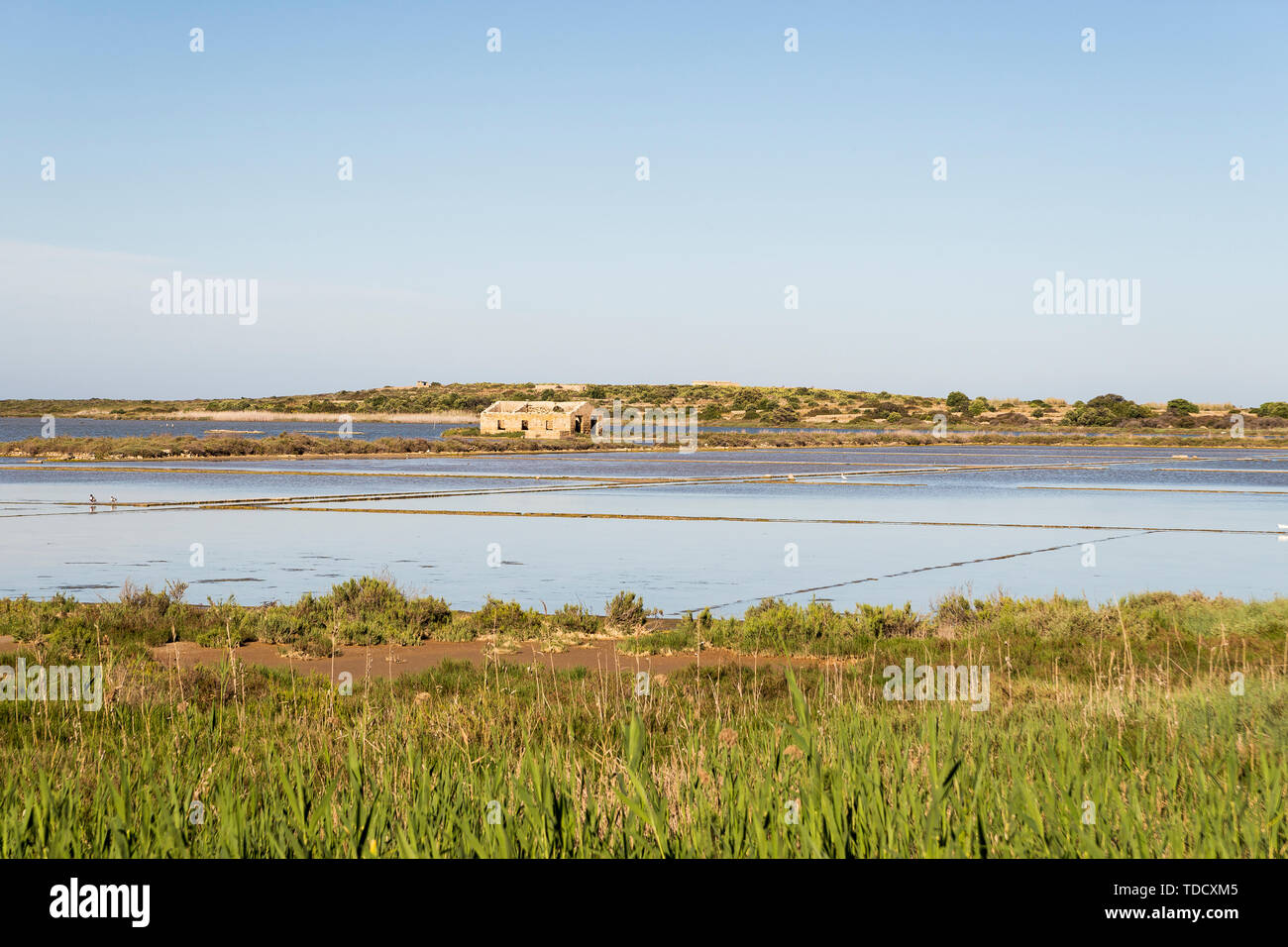Sceneries of The Great Swamp of Vendicari Nature Reserve in Sicily ...