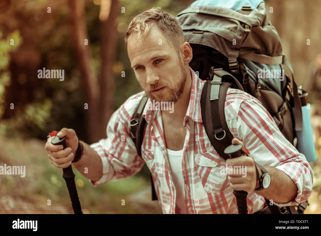 Walking using sticks hi-res stock photography and images - Alamy