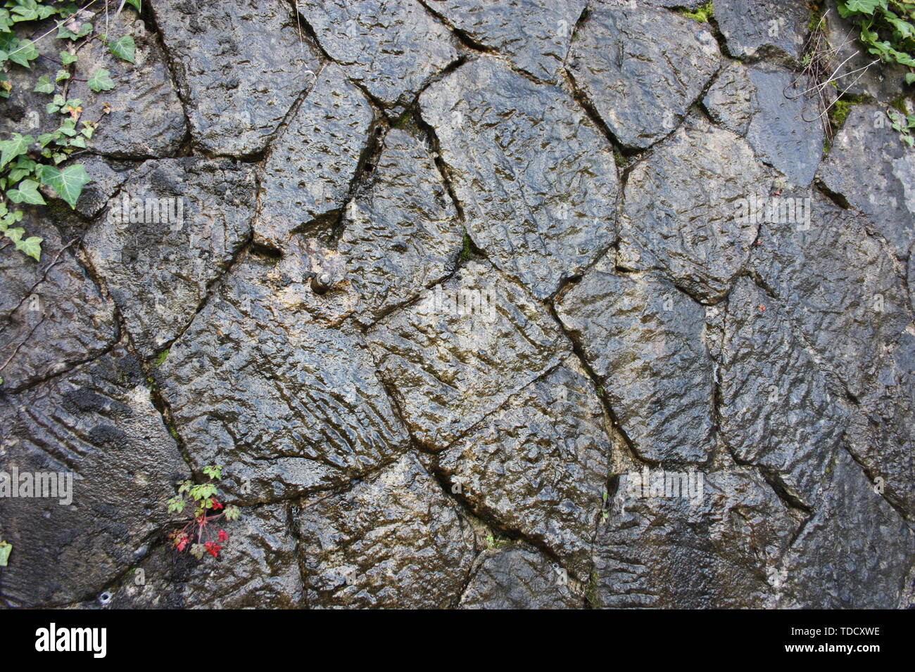 abstract texture background. marble, stone or dark stone wet look ...