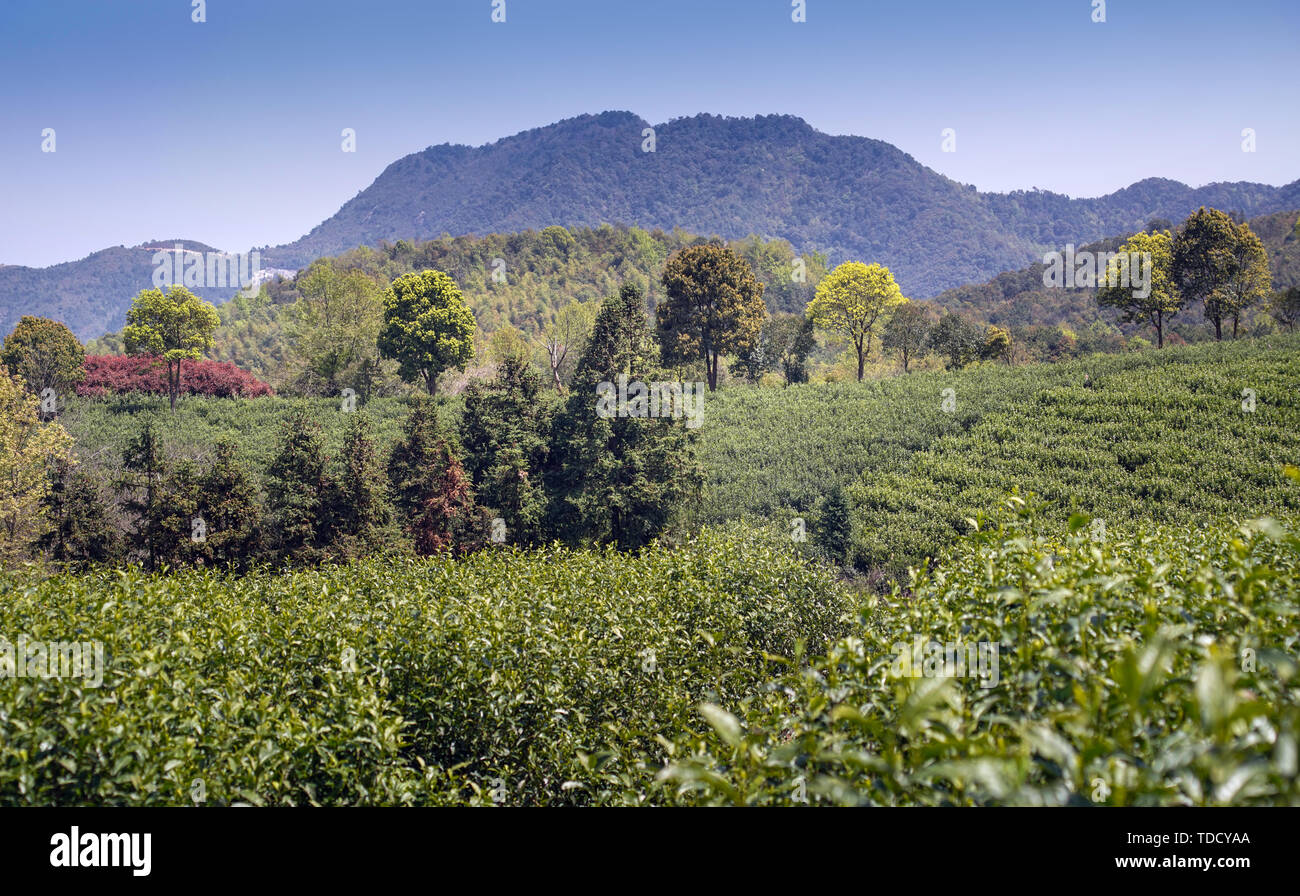 Ninghai hi-res stock photography and images - Alamy