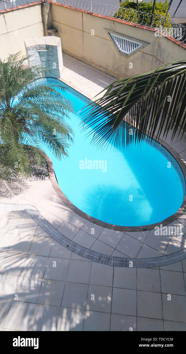 Swimming pool, São Paulo, Brazil Stock Photo - Alamy