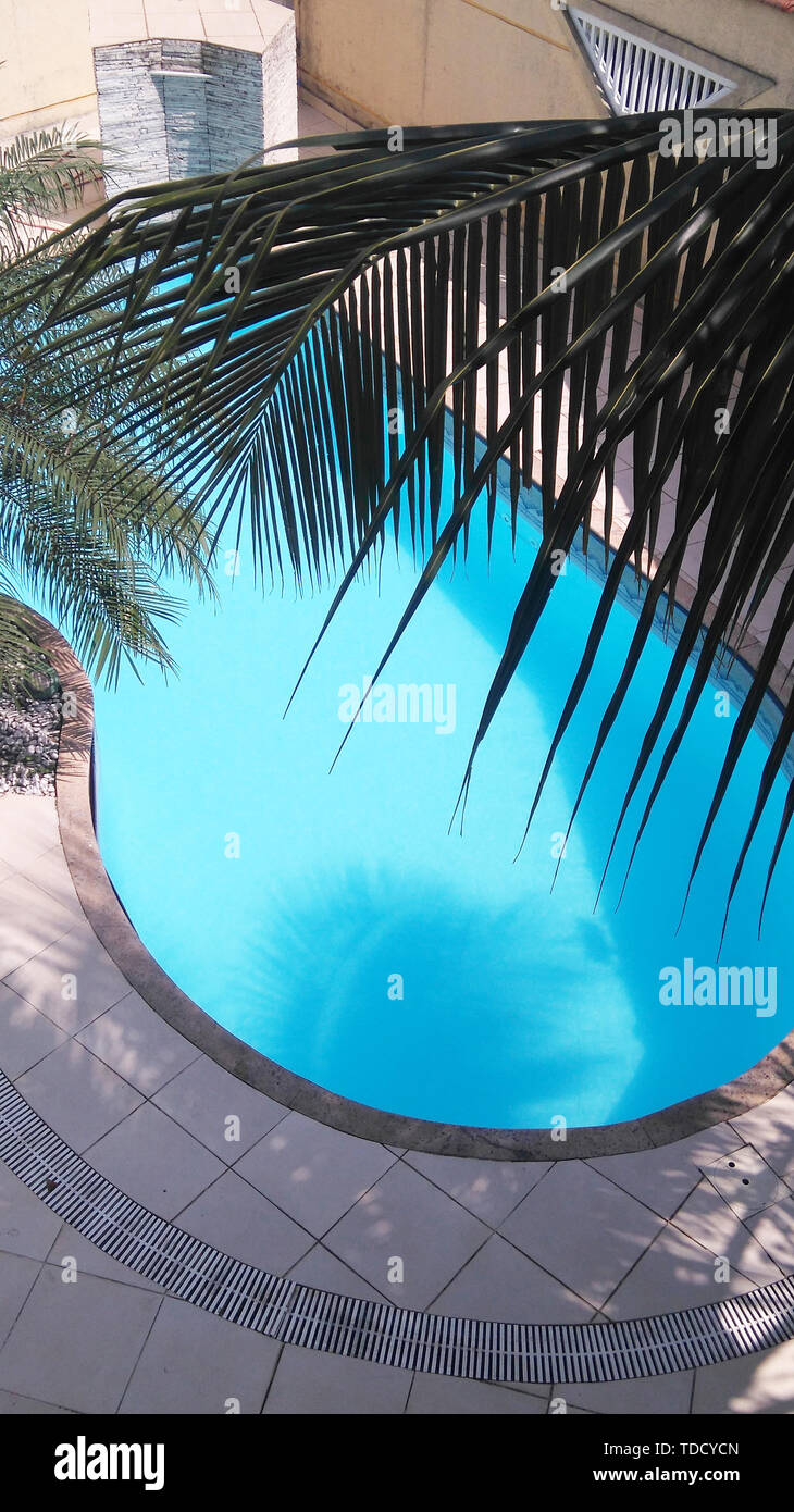 Swimming pool, São Paulo, Brazil Stock Photo - Alamy