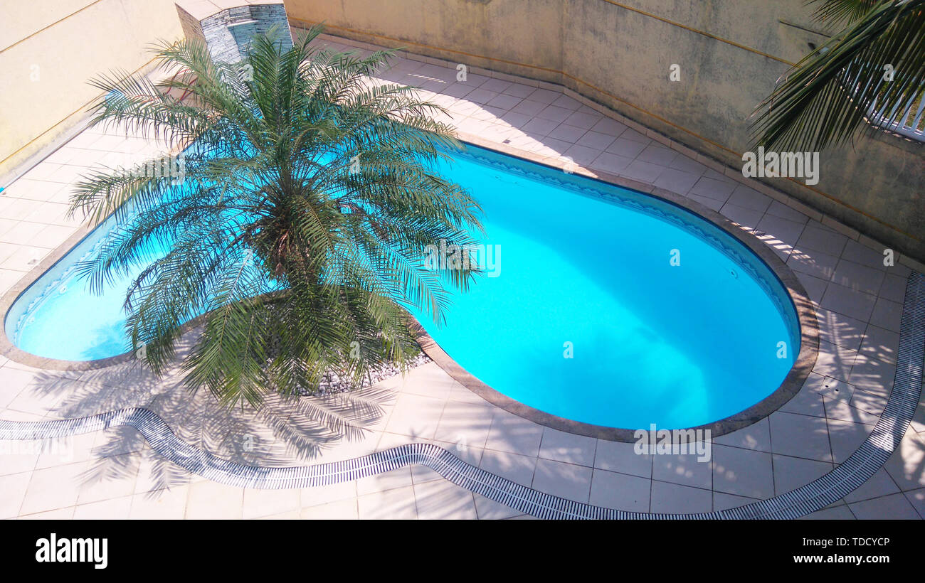 Swimming pool, São Paulo, Brazil Stock Photo - Alamy
