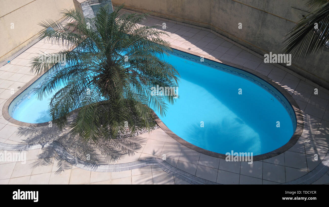 Swimming pool, São Paulo, Brazil Stock Photo - Alamy