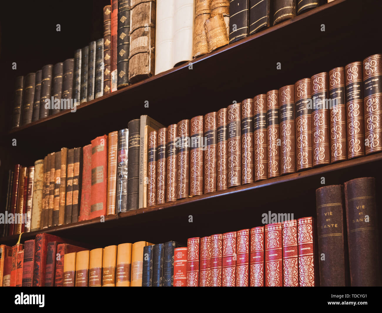 Book spine icon hi-res stock photography and images - Alamy