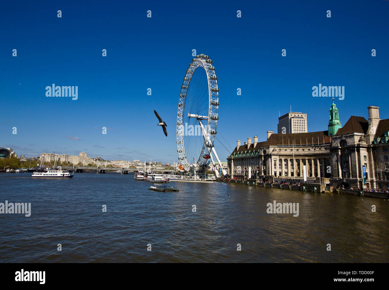 The Eye of London Stock Photo - Alamy